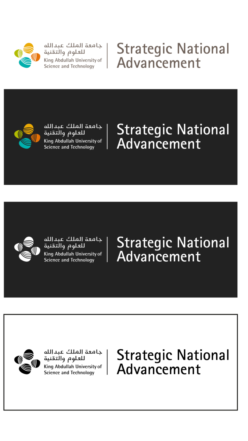 SNA Brands – Strategic National Advancement